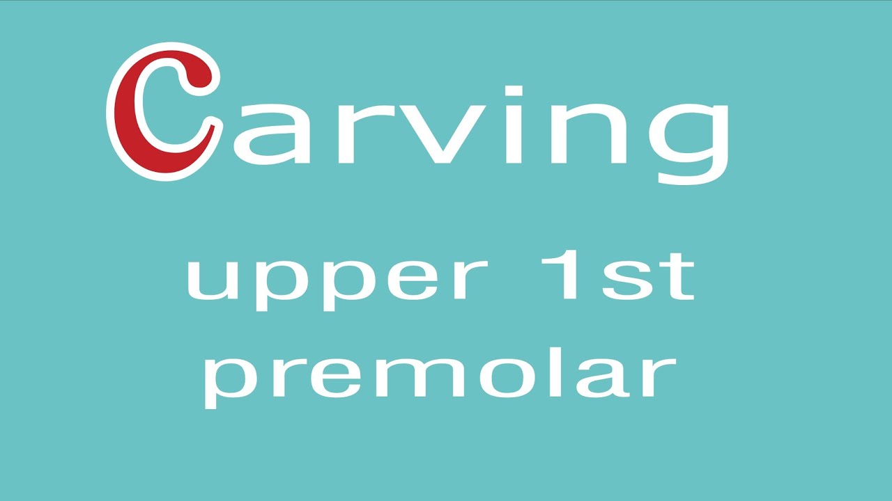 carving upper 1st premolar step 2 - YouTube