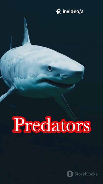 Top 5 Most Powerful Predators on Earth - YouTube