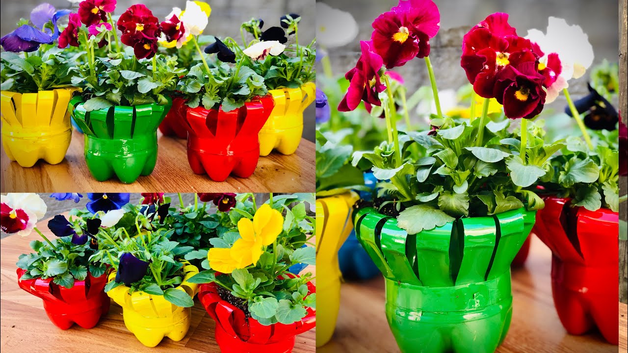 Make Beautiful Flower Baskets From Discarded Plastic Bottles | Garden ...