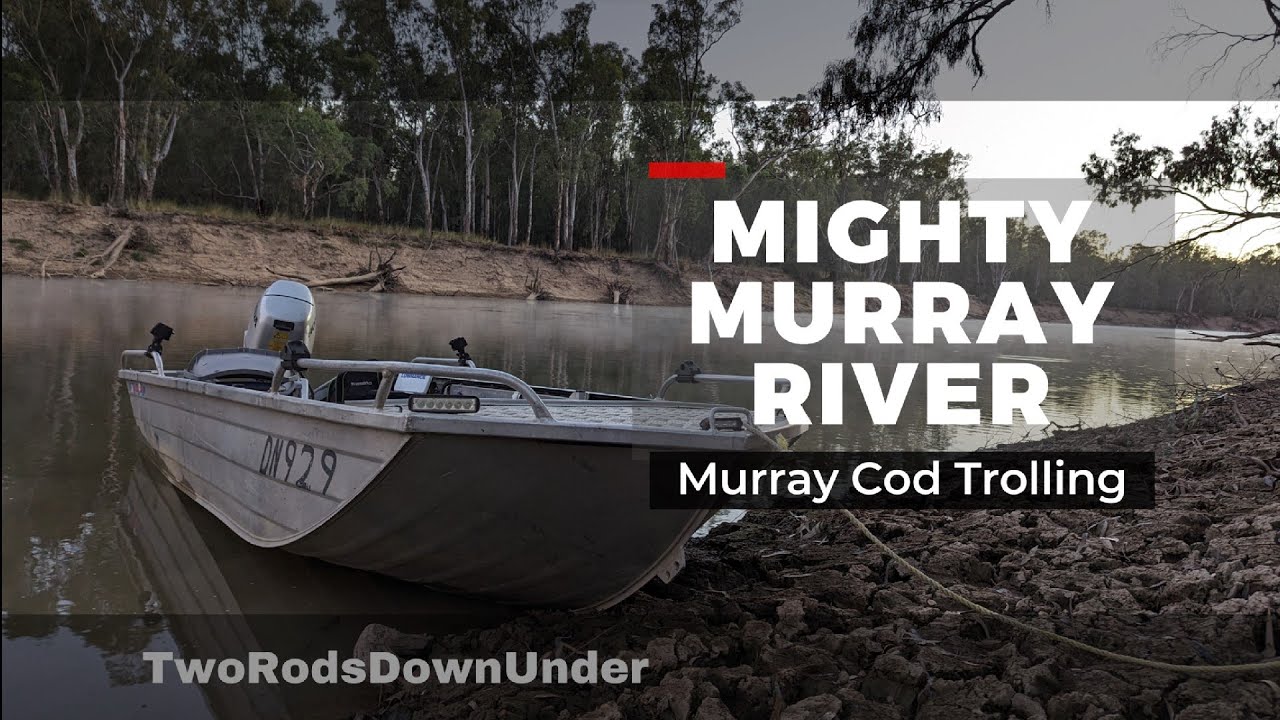Mighty Murray River - Murray Cod Trolling - YouTube