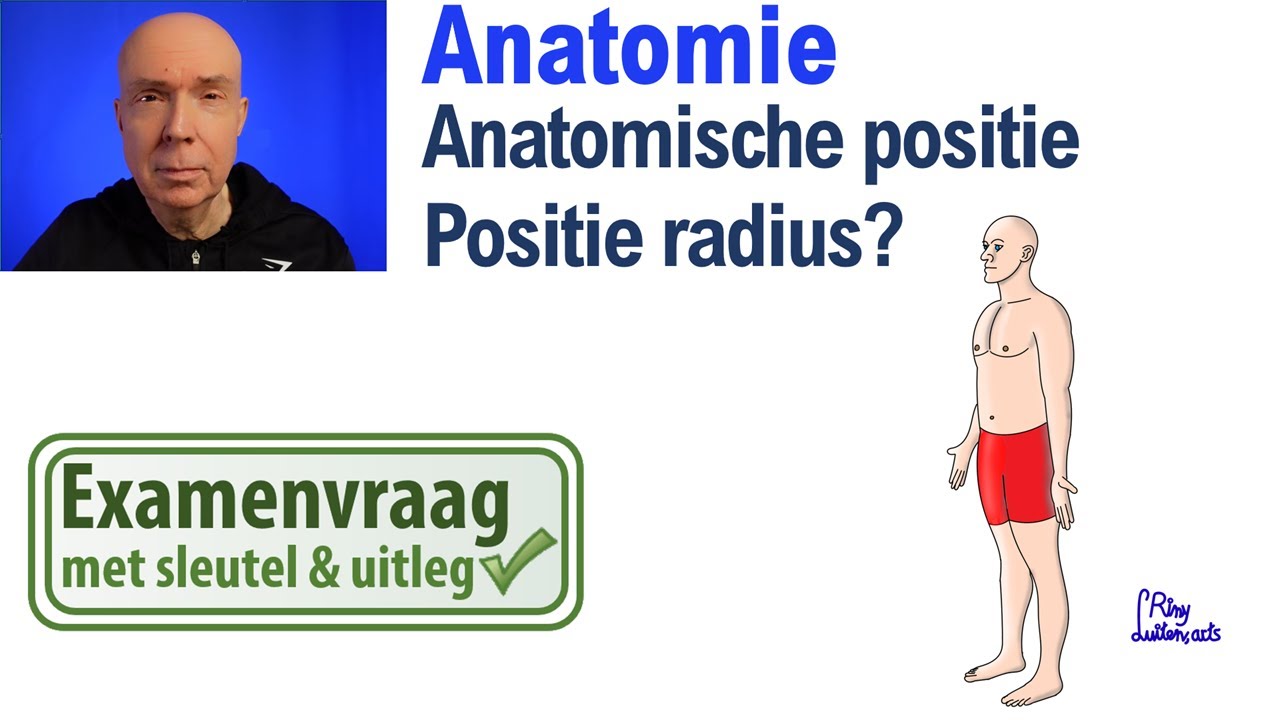 Anatomische Positie: Positie radius (Anatomie) - YouTube