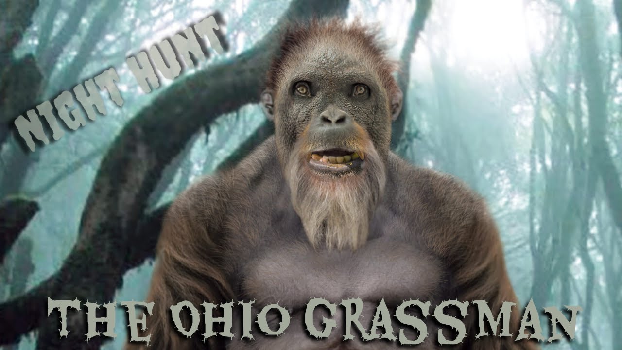 Chasing The Ohio Grassman ( Night Hunt with Thermal footage ) - YouTube