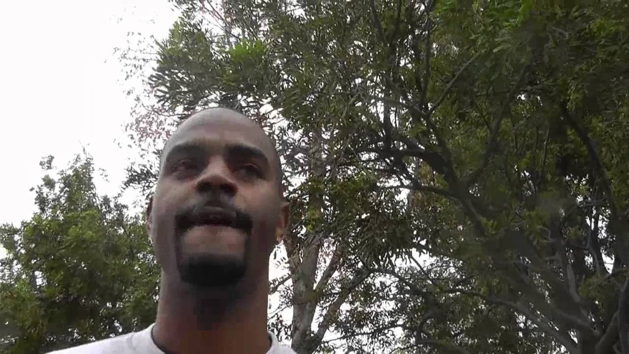 Terrell Williams KO Artist talks to seckbach - esnews boxing - YouTube