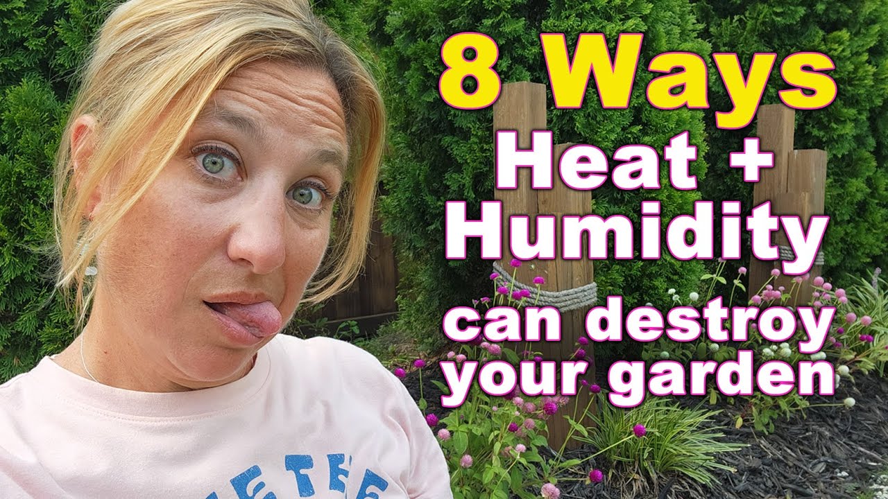 8 Ways Heat & Humidity Can Destroy Your Garden | Pests, Disease ...