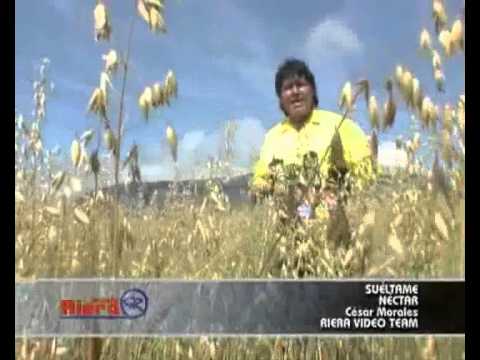 GRUPO NECTAR SUELTAME