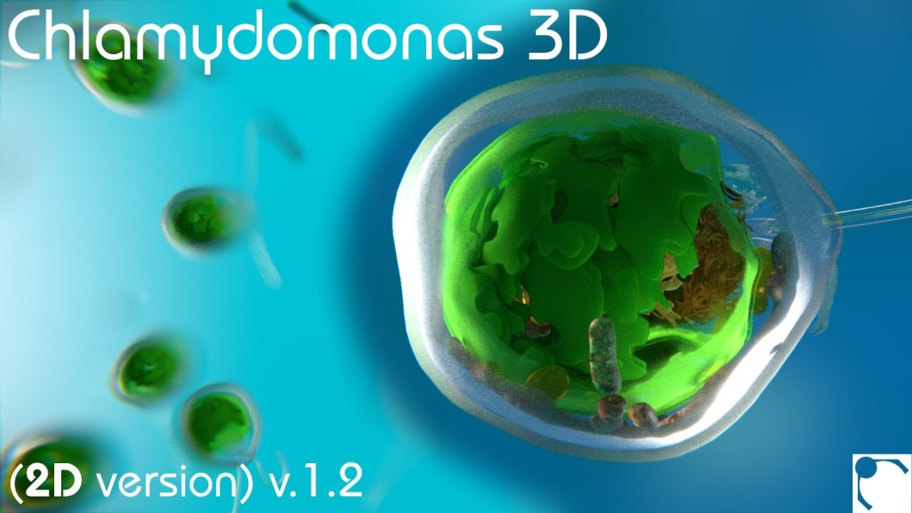 Chlamydomonas 3D - From Biological Cells to Biofuels (2D) [version 1.2 ...