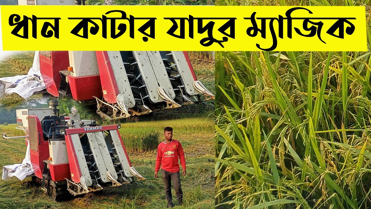 ধান কাটার ম্যাজিক মেশিন | Dhan katar machine Bangladesh 2023 কম খরচে ...