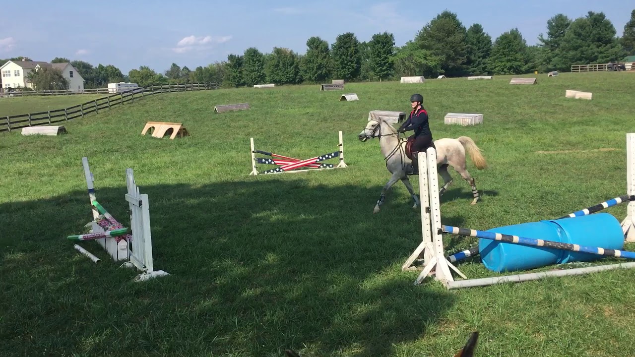 Teddy jump lesson 1 - YouTube