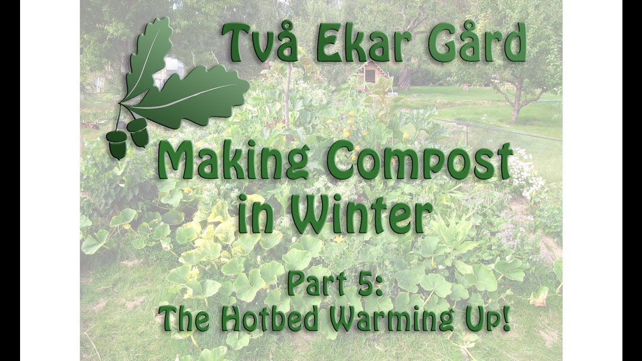 How to make Compost in Winter. Pt.5: The Hotbed Warming Up - YouTube