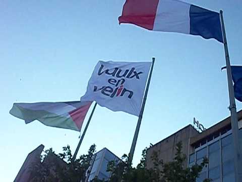 levée du drapeau palestinien à vaulx en velin