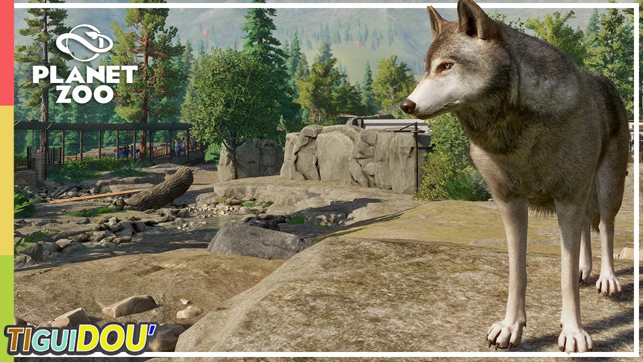 Timberwolf Enclosure｜Tiguidou Episode 5 ｜Planet Zoo - YouTube