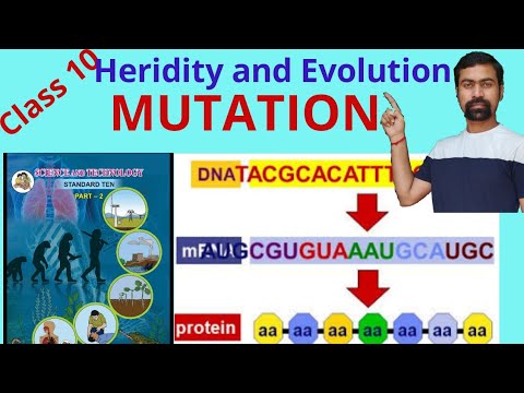 Mutation/Class 10 Heridity and Evolution/Mutation example - YouTube