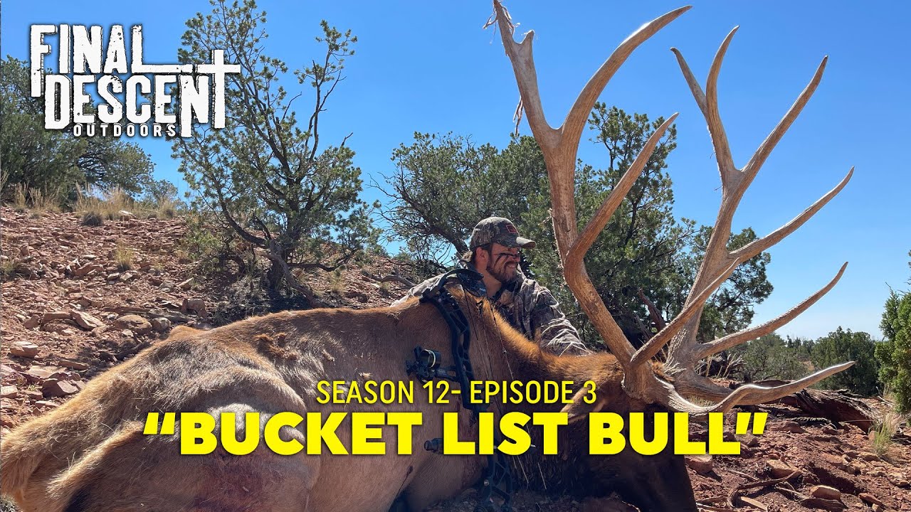 Season 12 Episode 3 "Bucket List Bull" - YouTube