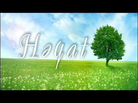 Həyat (12.09.2018)