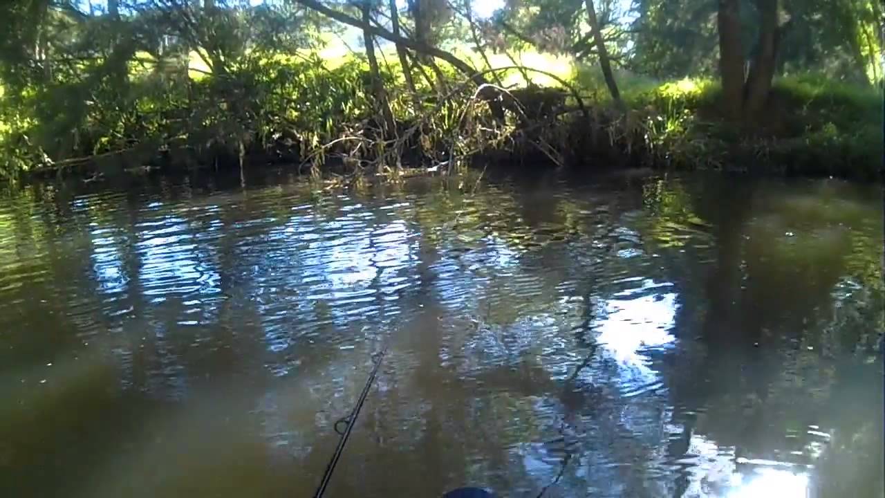 Allyn River Trip 1 2015 - YouTube