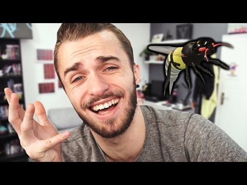 J'SAIS PAS SI VOUS AVEZ REMARQUÉ... (Slap The Fly)