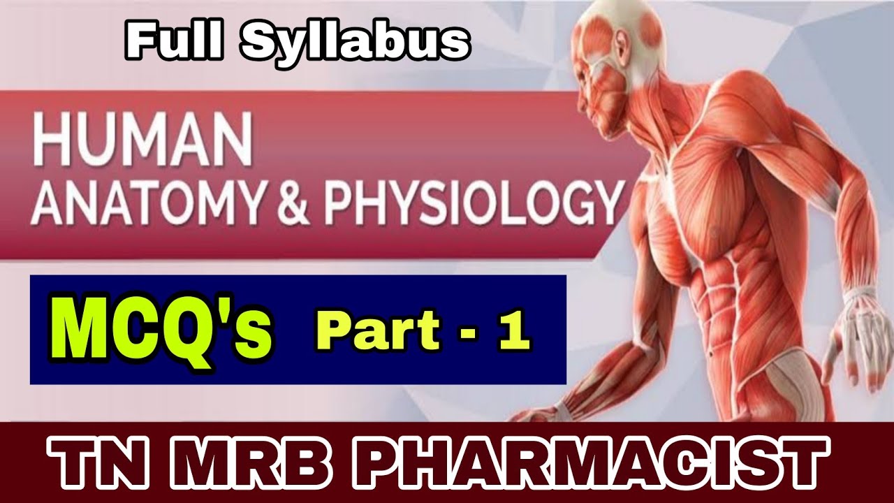 Human Anatomy And Physiology MCQs Important Questions PHARMACIST Human Anatomy And Physiology MCQs Important Questions PHARMACIST