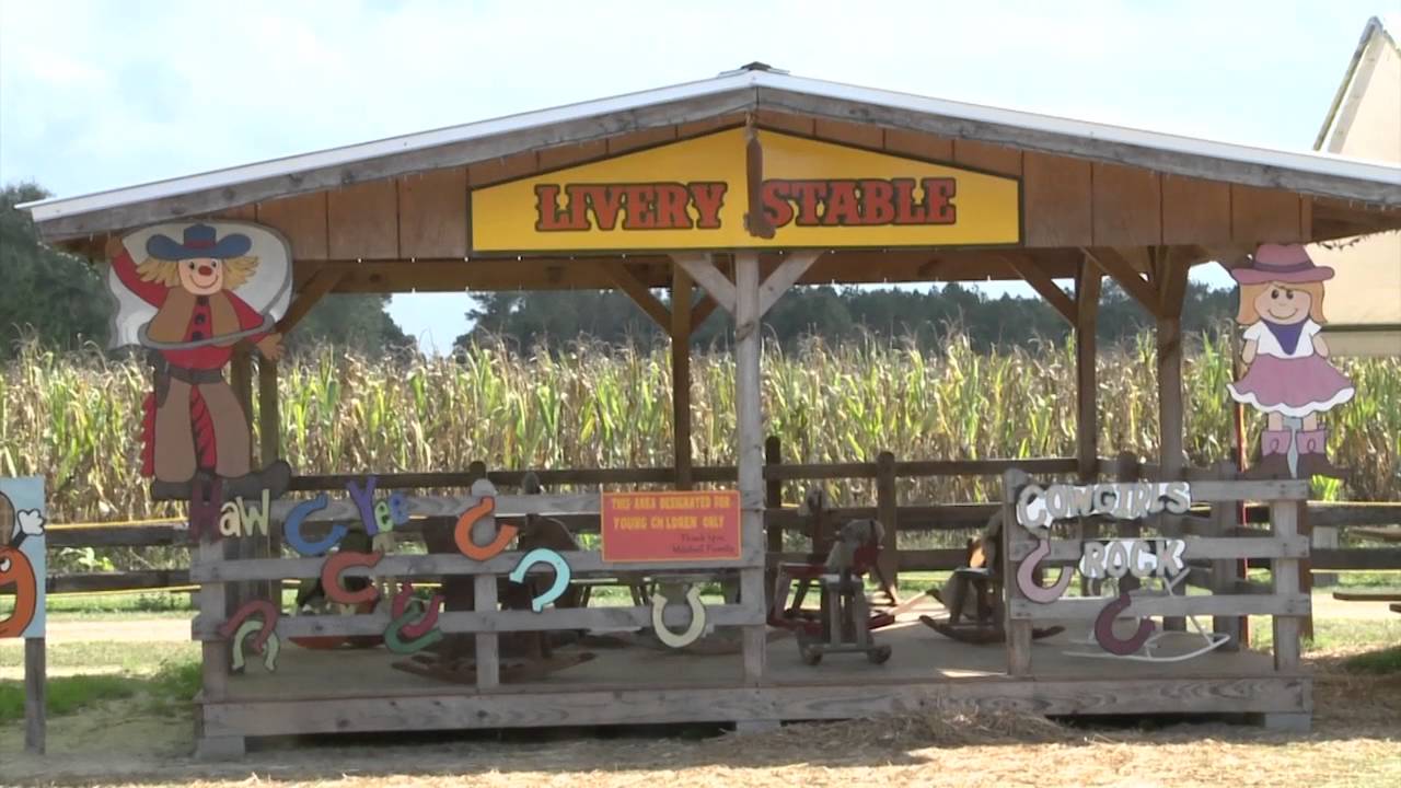 Mitchell Farms is major MS agrotourism venue, Farmweek, Dec. 18, 2015 ...