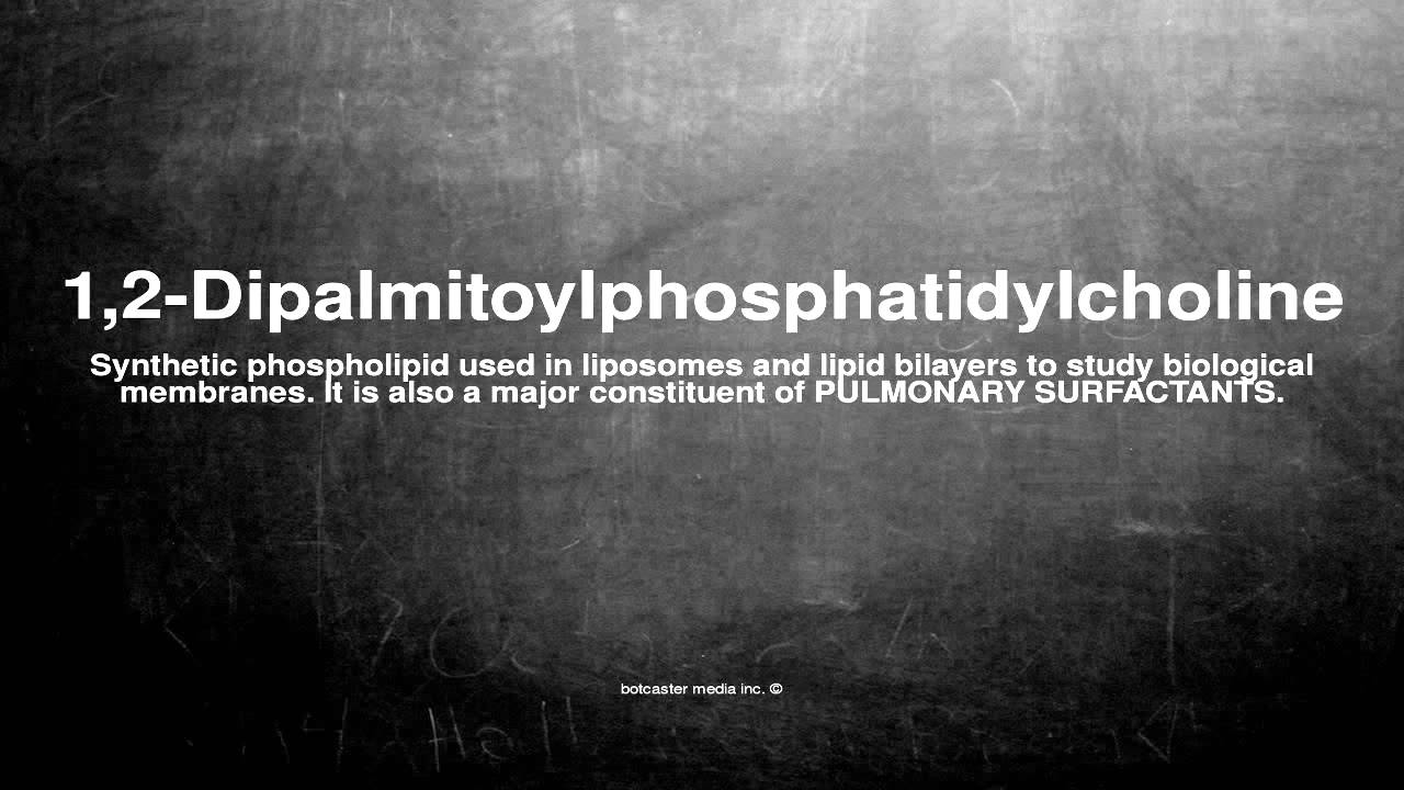 Medical Vocabulary What Does 1 2 Dipalmitoylphosphatidylcholine Mean medical-vocabulary-what-does-1-2-dipalmitoylphosphatidylcholine-mean