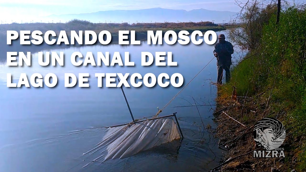 Pescando el mosco en un canal del Lago de Texcoco - YouTube