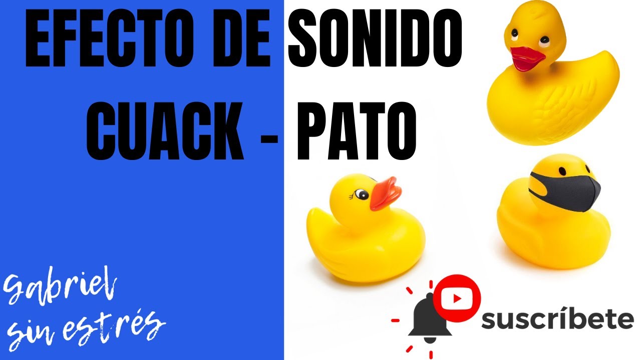 EFECTO DE SONIDO PARA TUS VÍDEOS 2020 - PATO, CUACK - YouTube