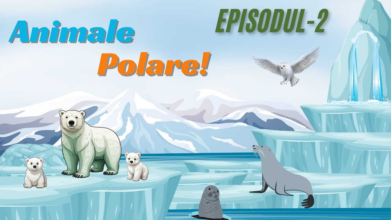 Animale Polare Episodul-2 - YouTube