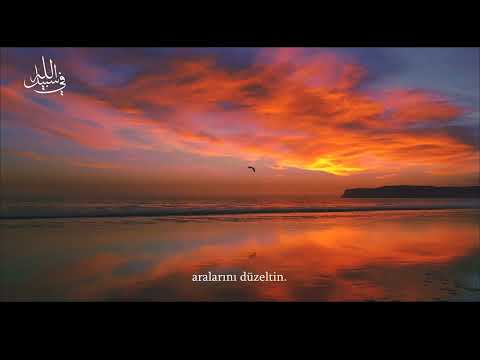 Abdurrahman Mossad - Hucurat Sûresi (Tam Tilavet)