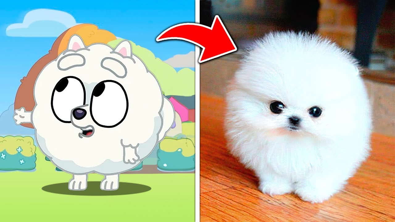 Personagens de Bluey que Existem na Vida Real - YouTube