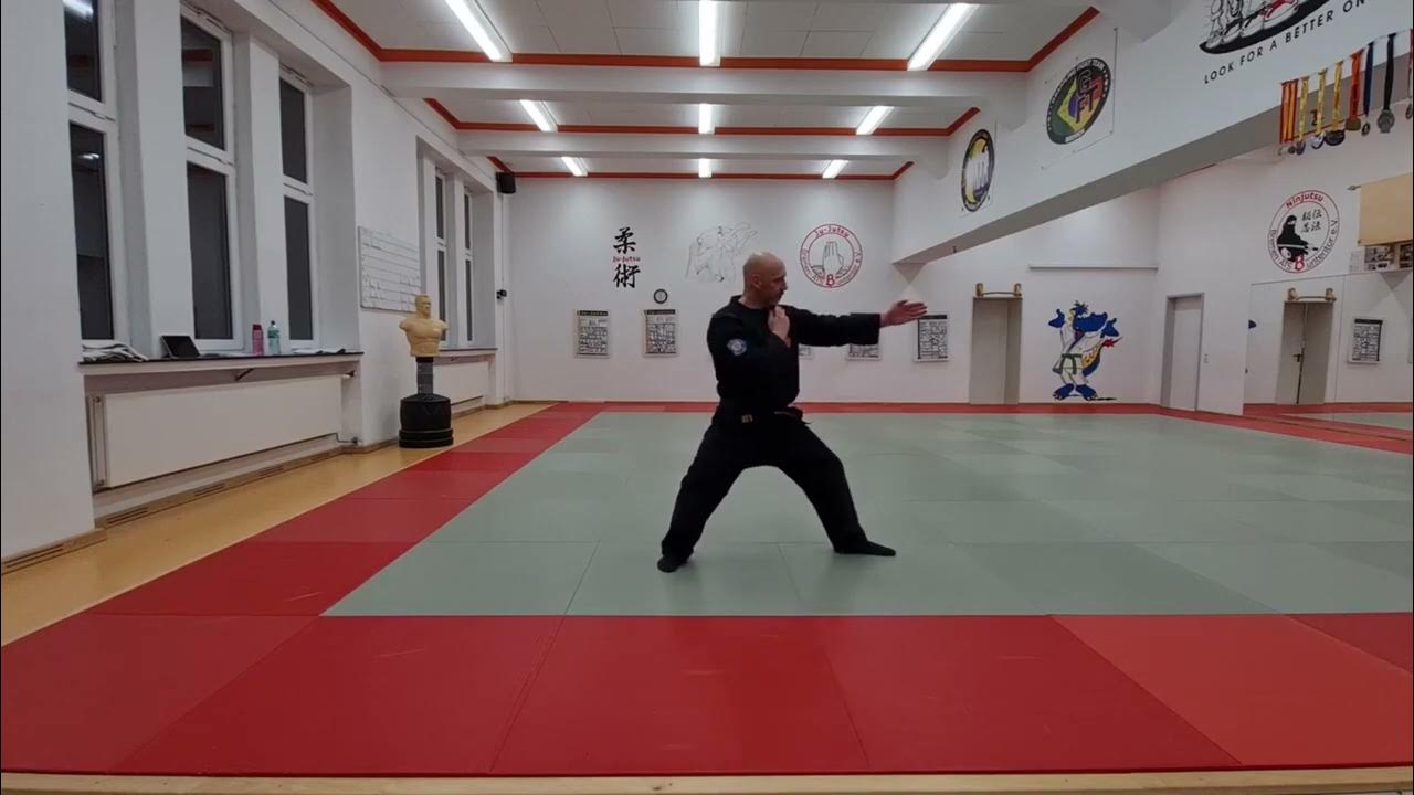Ninjutsu 10 Kyu (Full Video) How to - YouTube
