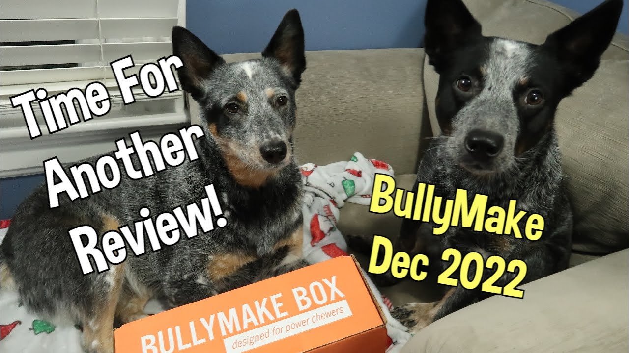 BullyMake Unboxing & Review ~ December 2022 Box ~ - YouTube