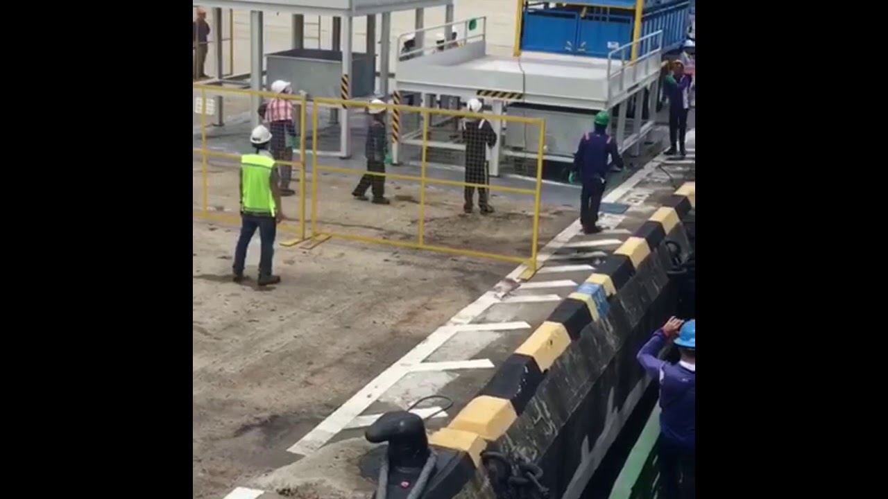 Pigs discharging process from the vessel - YouTube