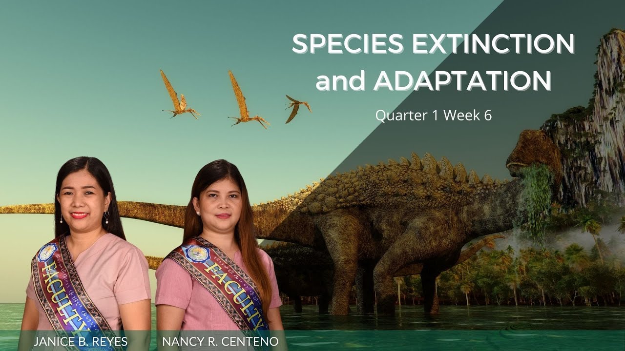 G9 Q1 Week 6 - Species Extinction and Adaptation - YouTube
