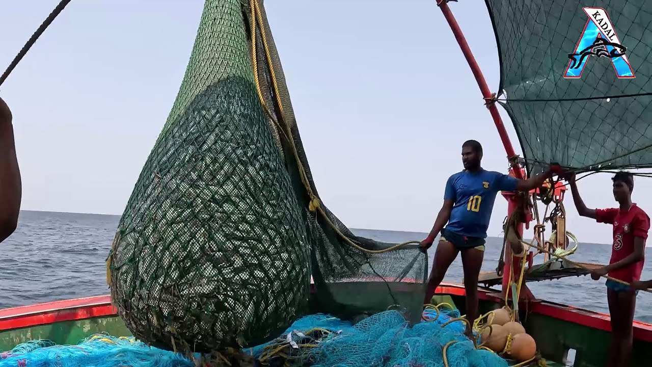 Big Catch Fishing in The Sea | Latest FISH Video | Fishing Videos ...