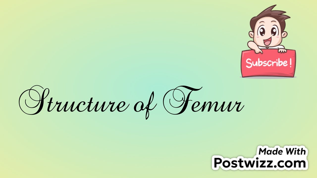 Structure of femur bone@NursingTutorial571 - YouTube