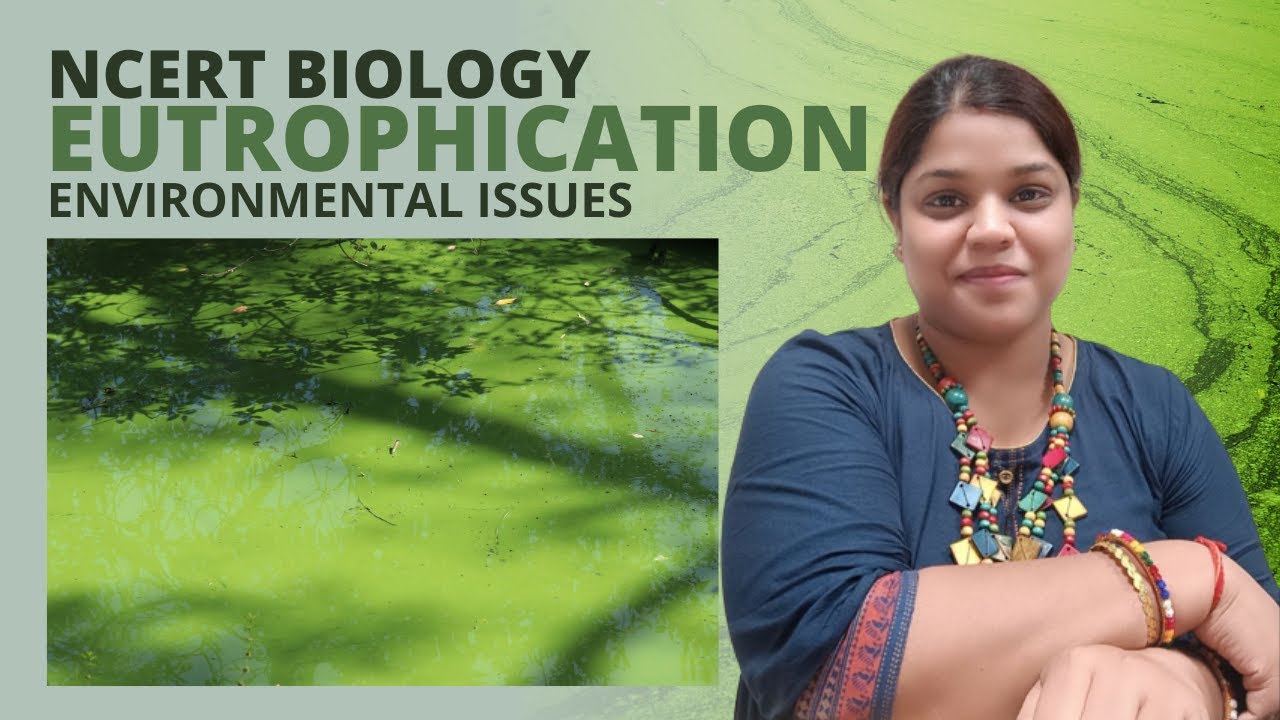 Eutrophication Environmental Issues Class 12 NEET YouTube eutrophication-environmental-issues-class-12-neet-youtube