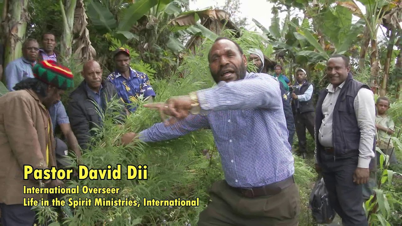 Operation Removing Marajuana - Pastor David Dii - YouTube
