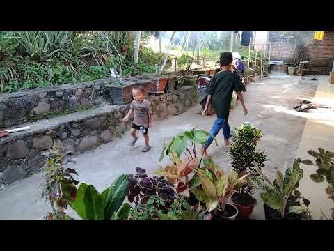 kaka riko ngajarin adek kelvin main bola