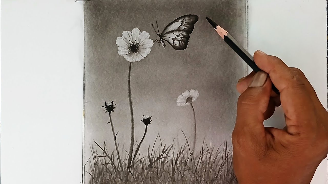 Flower with flying butterfly landscape drawing by pencil. - YouTube