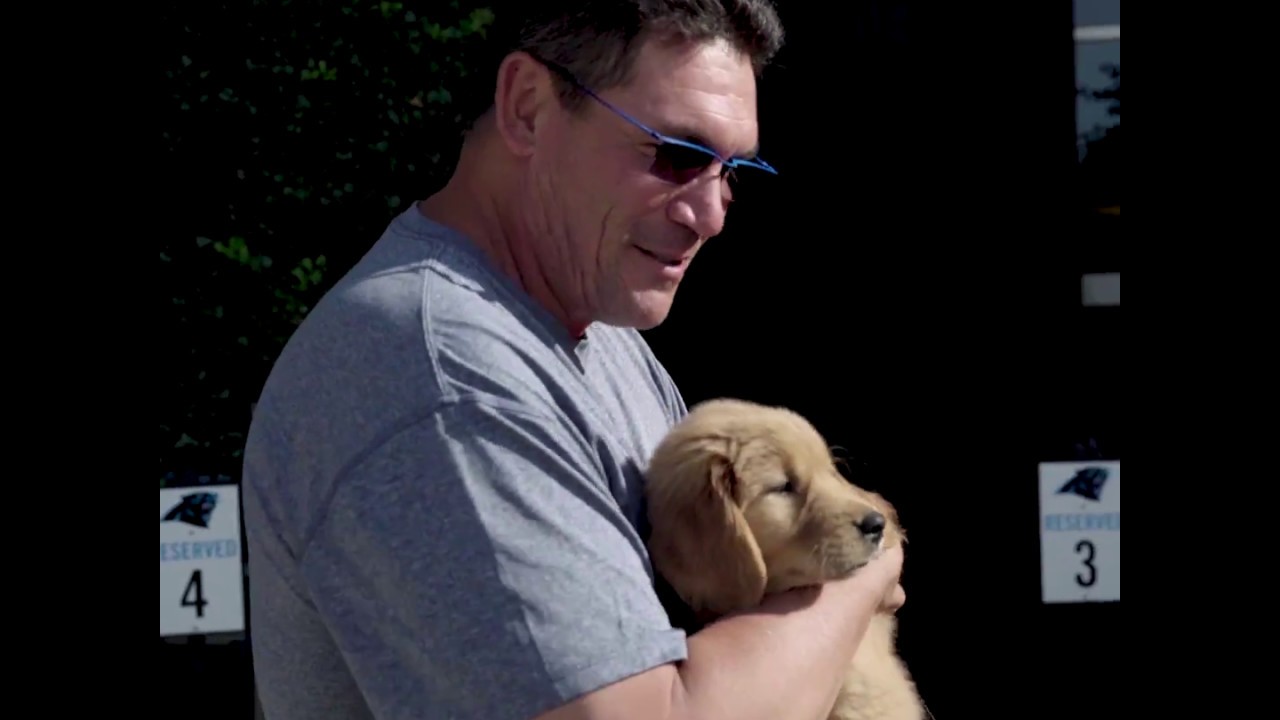 Meet Coach Ron Rivera's newest puppy - YouTube