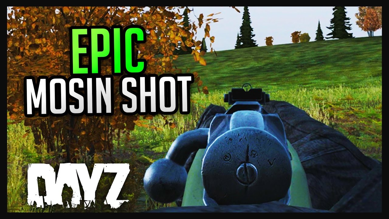 EPIC MOSIN HEADSHOT - DayZ - YouTube