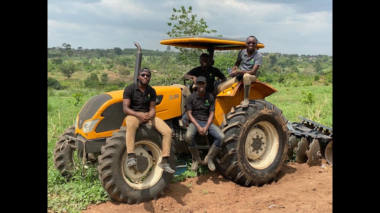 CGGL Virtual Crowd Farming - YouTube