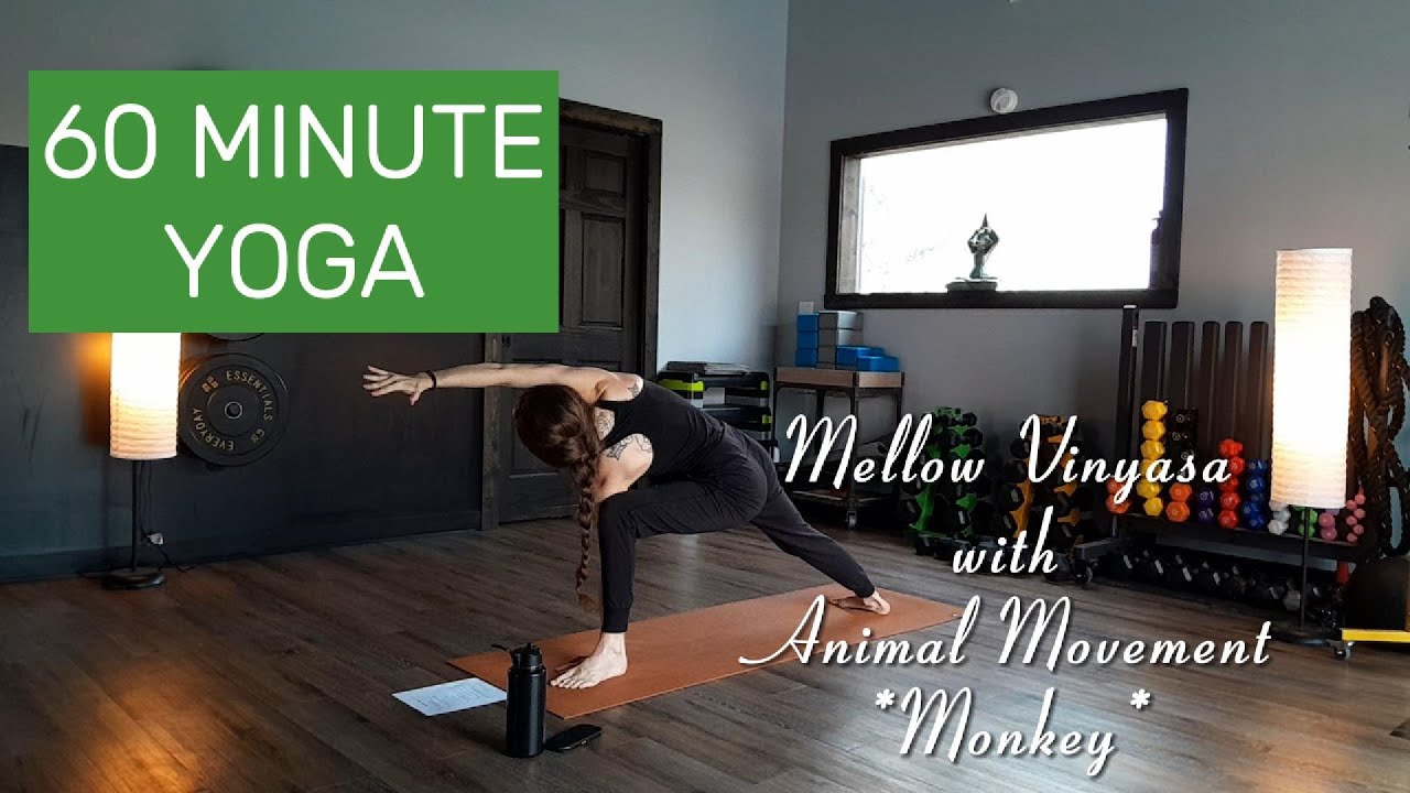 60 Minute Mellow Vinyasa Yoga | Twisting Flow with Animal Move "Monkey ...