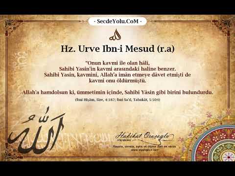 Hz. Urve Ibn-i Mesud / @SiyahGece