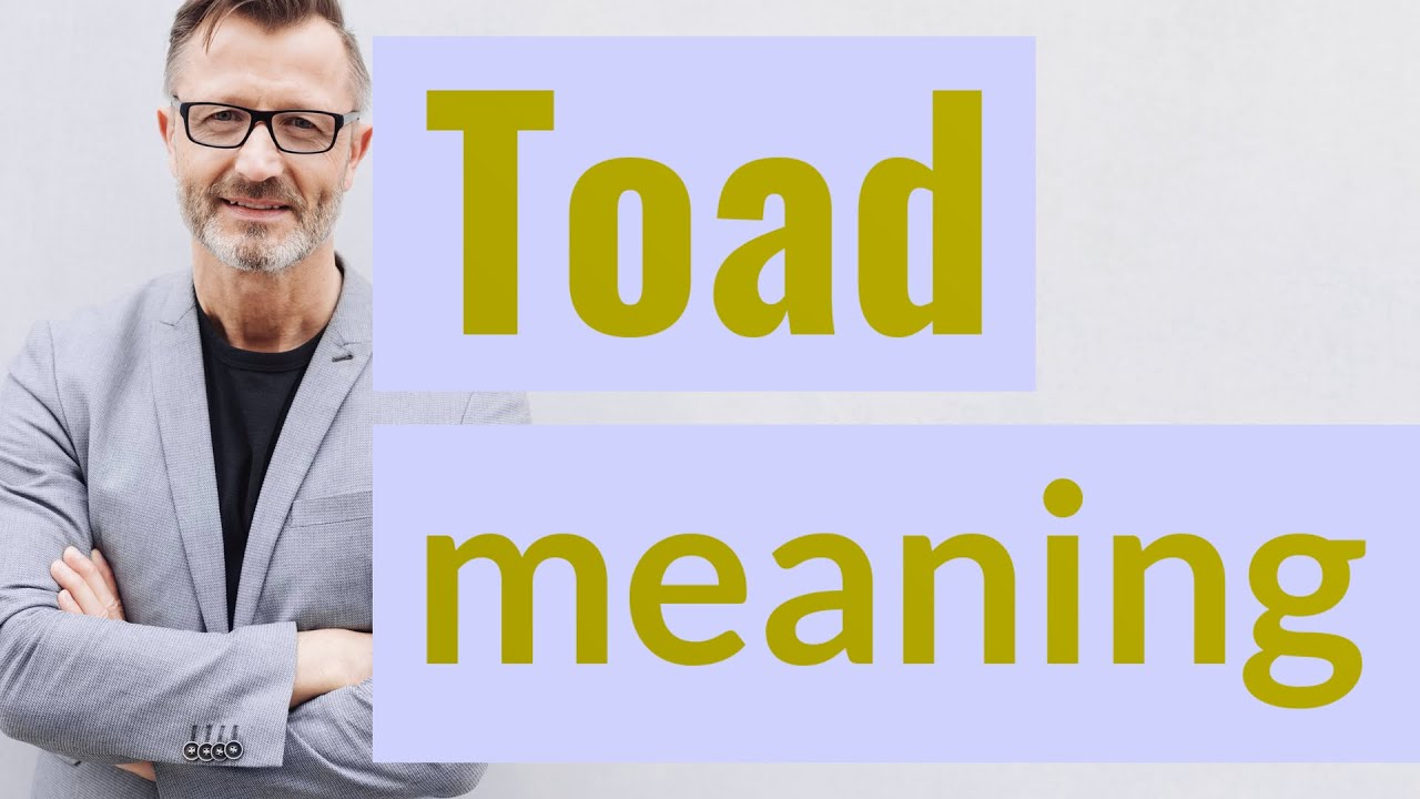 Toad | Meaning of toad 📖 📖 📖 - YouTube