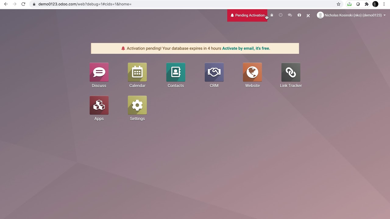 Odoo V13 - Custom Website Forms - YouTube