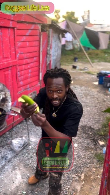 Jesse Royal - Rastaman Kitchen (Reggae Life Live) - YouTube