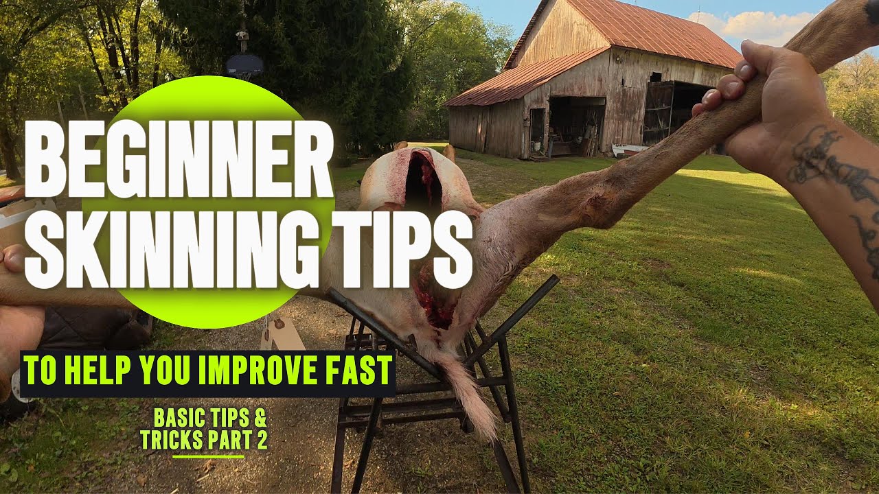 LIGHTNING-FAST Skinning Tips You Need to Know NOW - YouTube