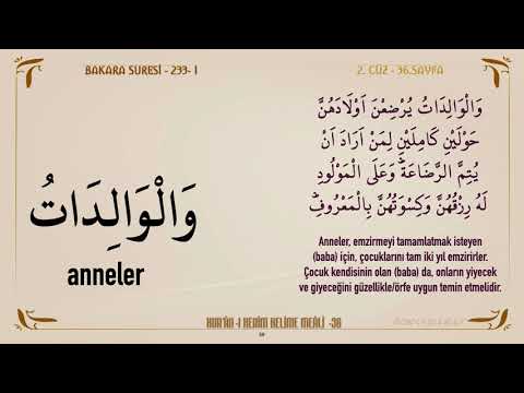 KUR'AN-I KERİM KELİME MEALİ 36 | BAKARA SURESİ 231 -233 (2. CÜZ)