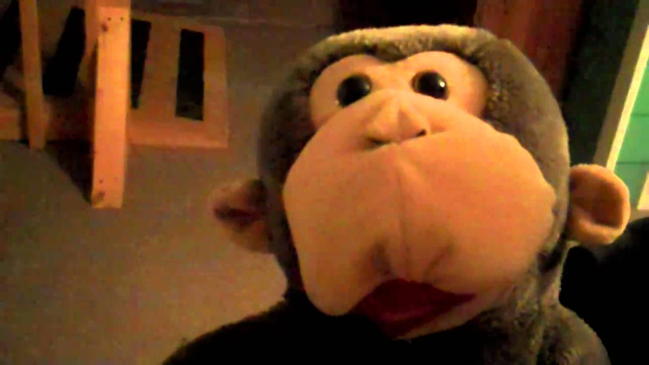 Max and Harold: Shock Gum - YouTube