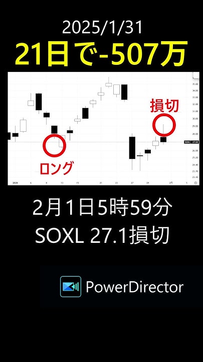 【2025/1/31】SOXL 21日で-507万円 #sorts #soxl #sox #半導体 #投資 #トレード - YouTube
